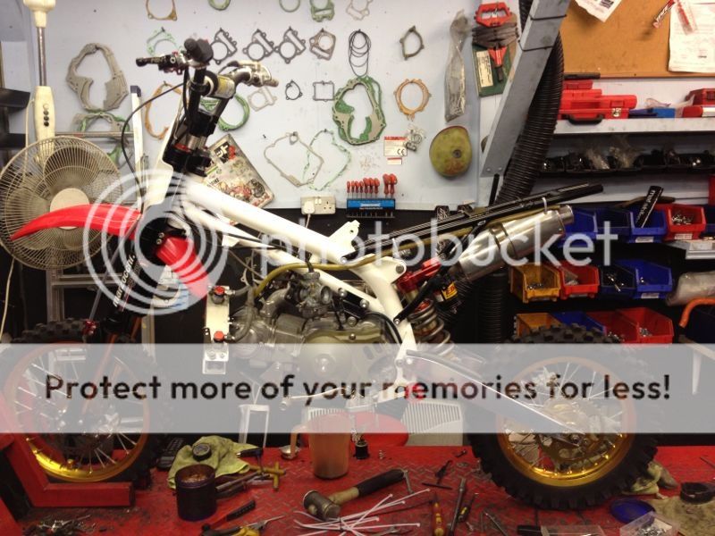 Reeg CRF70 Build UK :D | PlanetMinis Forums